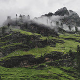 Eagles Domain Coffee